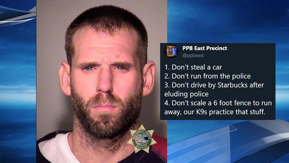 Police use spike strips, K9 team to track down suspected driver during ...