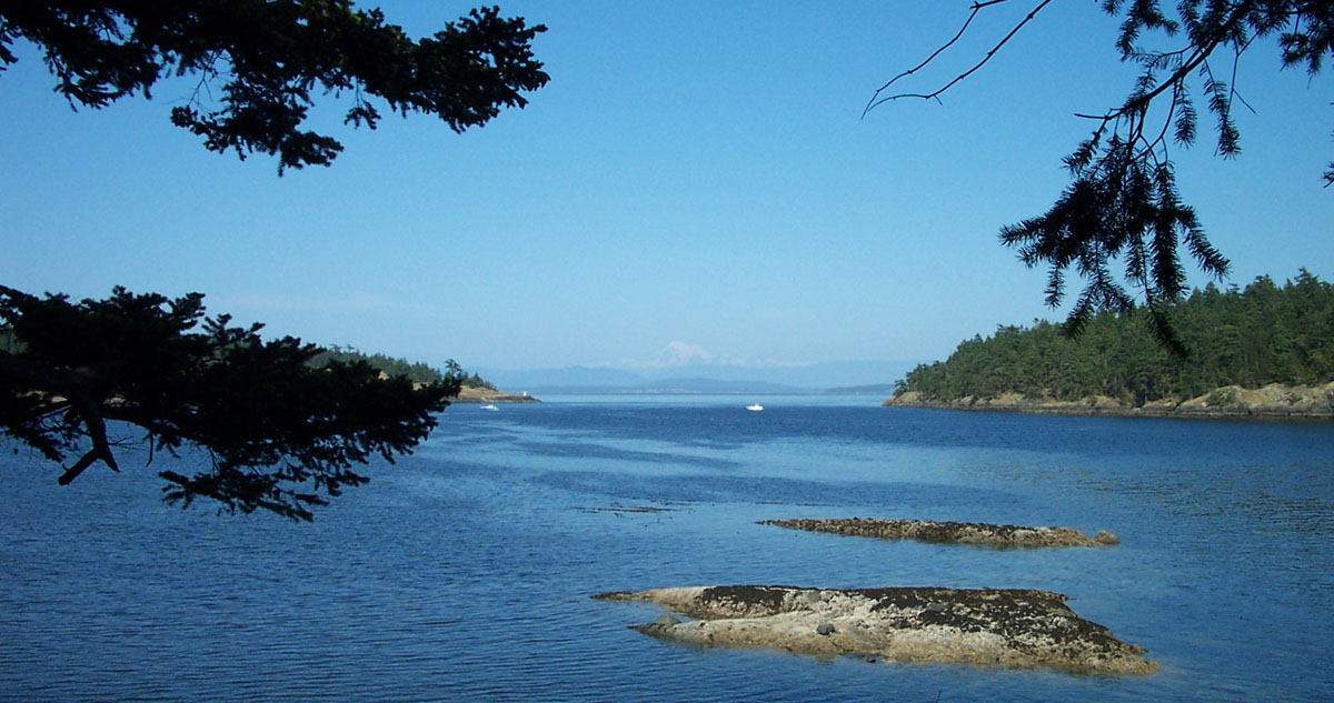 Photos: $3.5 million private Ram Island for sale | Seattle Refined