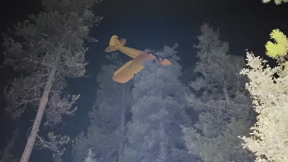 Pilot rescued after plane crashes in tree, 60 ft in air | KLEW