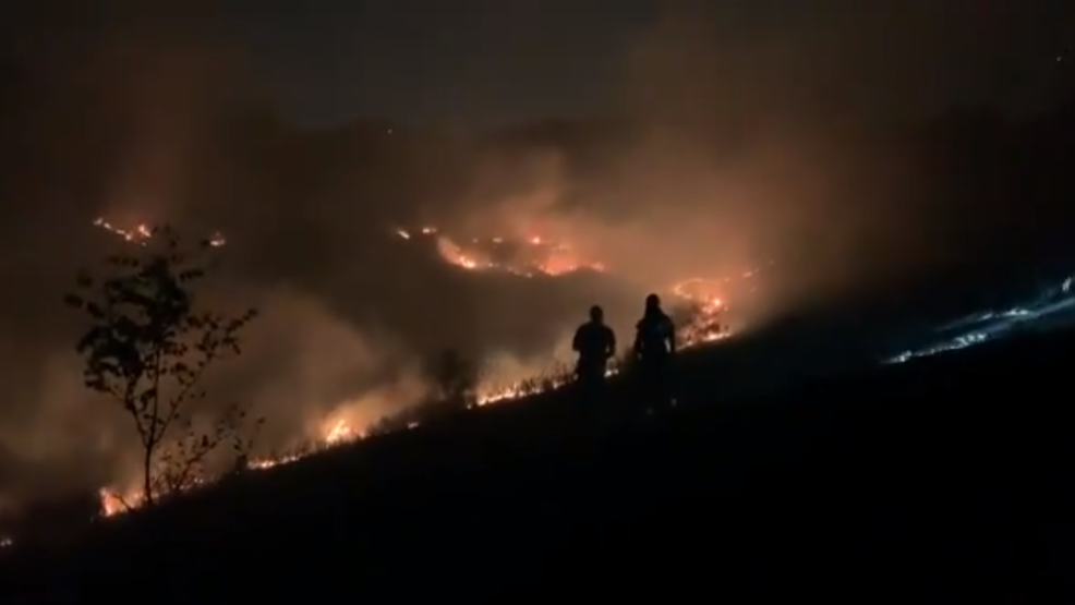 Virginia officials issue warning as wildfire season begins | WJLA