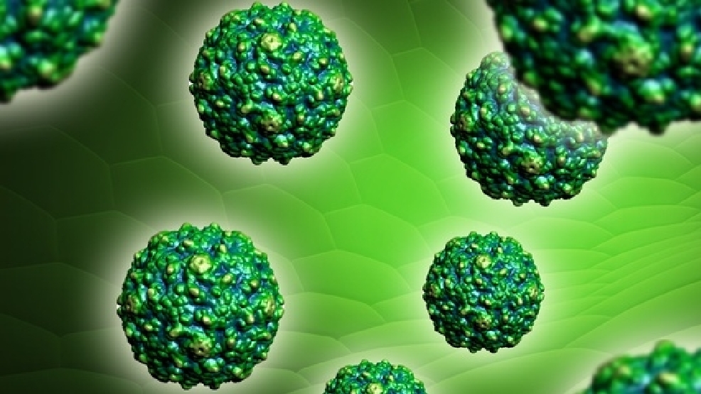 Researchers ID new vaccine-resistant polio strain | WWMT