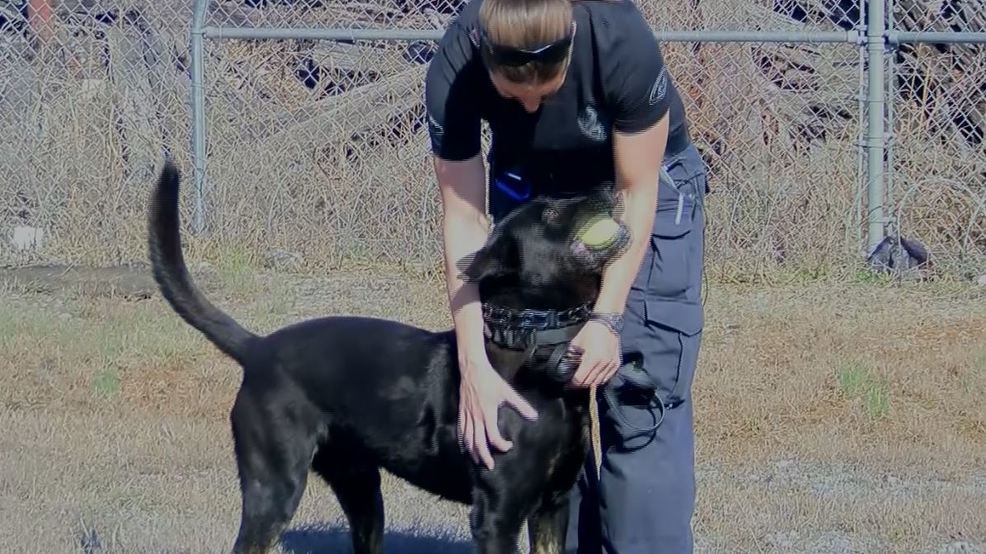 JCPD puts first woman-led K9 unit on patrol | WCYB
