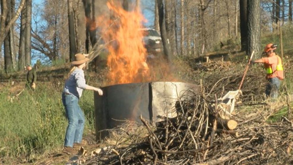 Biochar demo illustrates more eco-friendly approach to biomass disposal ...